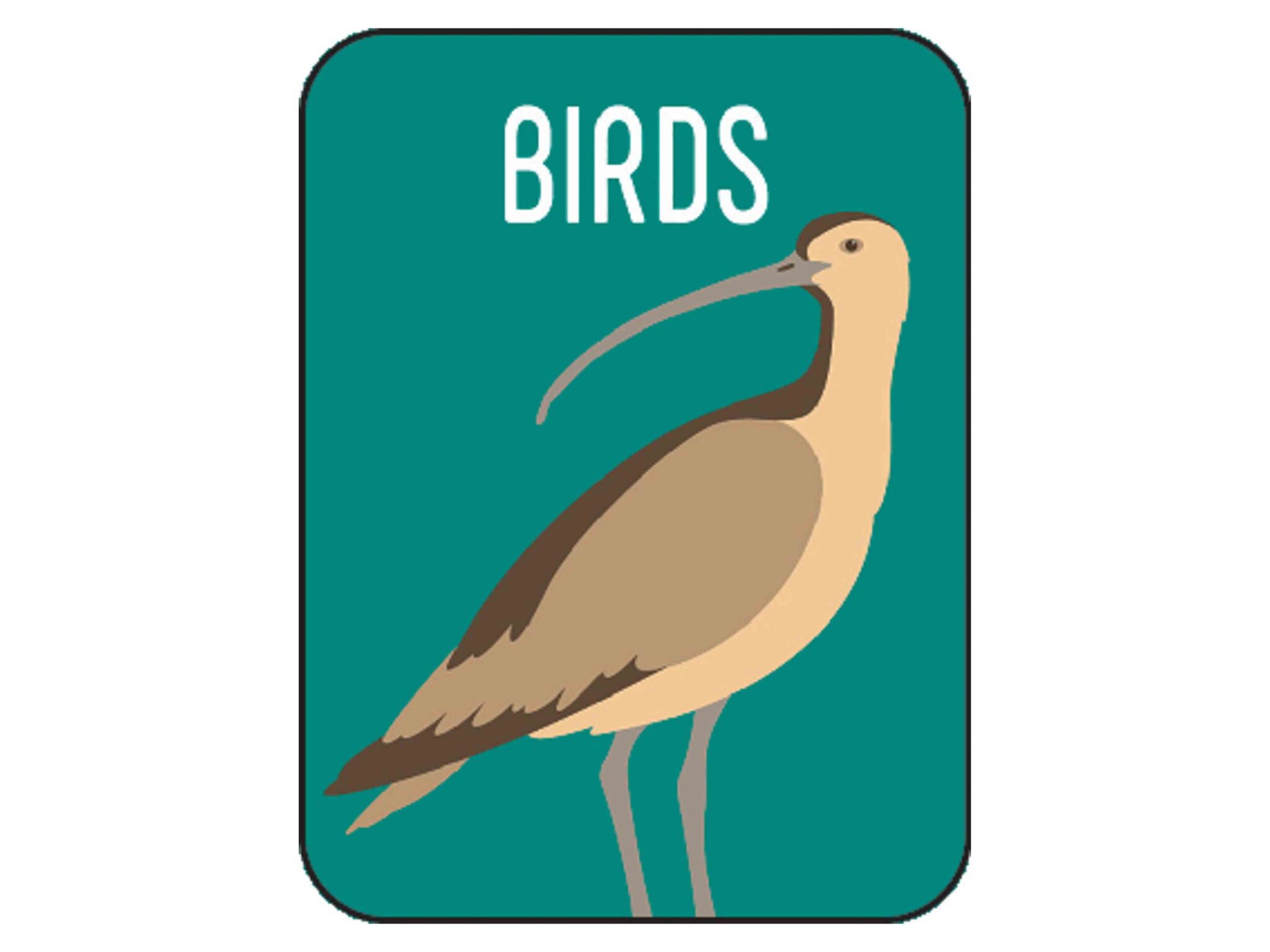 Non-Fiction Classification Labels | Int Workspaces